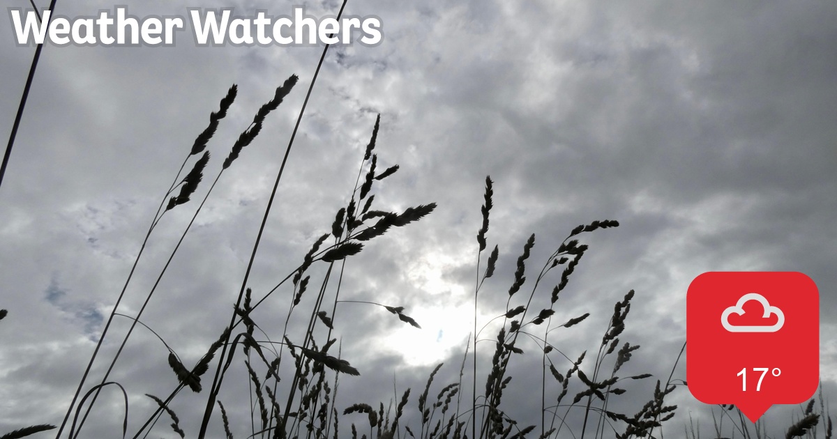 Report - BBC Weather Watchers