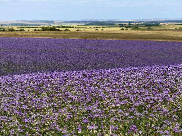 Warminster - BBC Weather