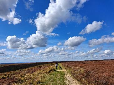 Telford - BBC Weather