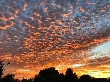 Maidstone - BBC Weather