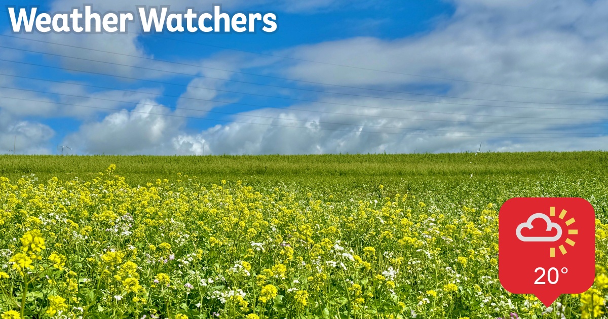 Report - BBC Weather Watchers