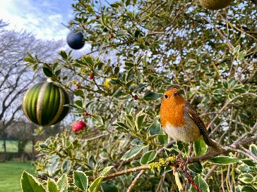 Slough - BBC Weather