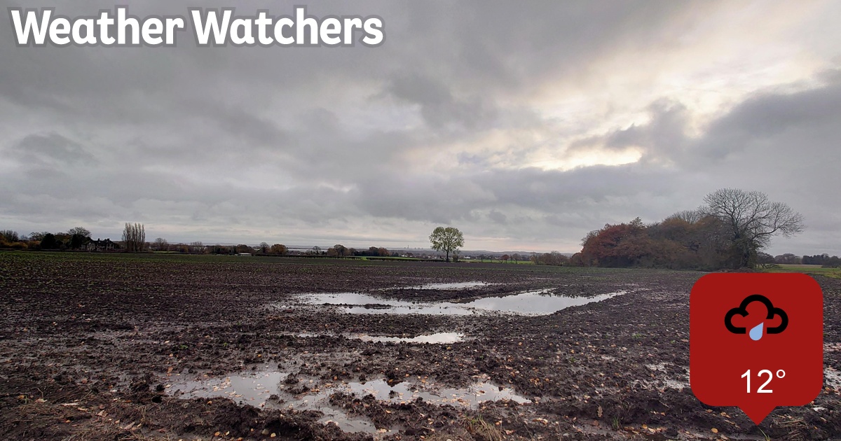 Report - BBC Weather Watchers
