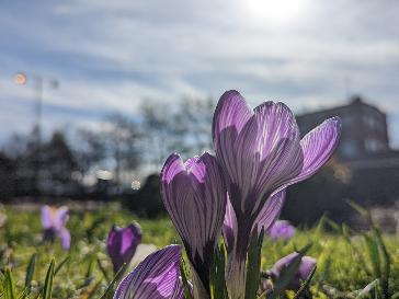 Tyldesley - BBC Weather