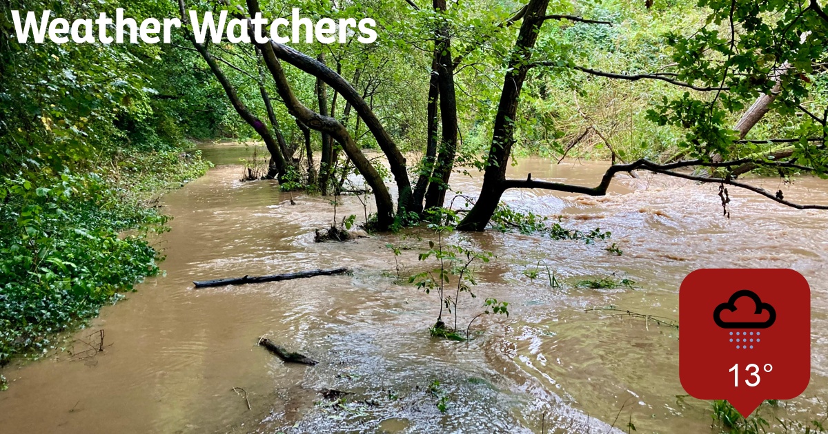 Report - BBC Weather Watchers