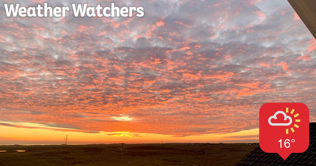 Report - BBC Weather Watchers