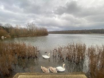 Wembley - BBC Weather