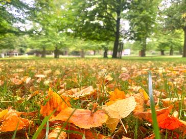 Bromley - BBC Weather