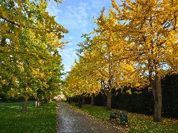 Cardiff - BBC Weather