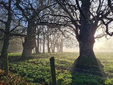 Guildford - BBC Weather