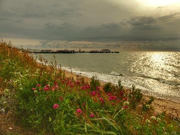 Chelmsford - BBC Weather