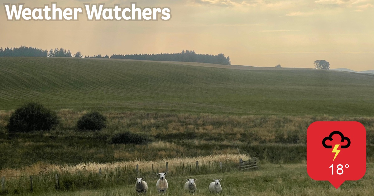 Report - BBC Weather Watchers