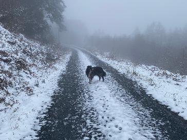 Oswestry - BBC Weather