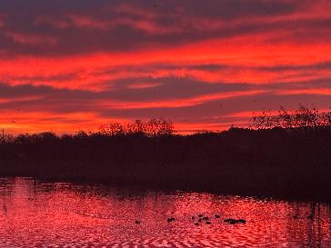 Redcar - BBC Weather