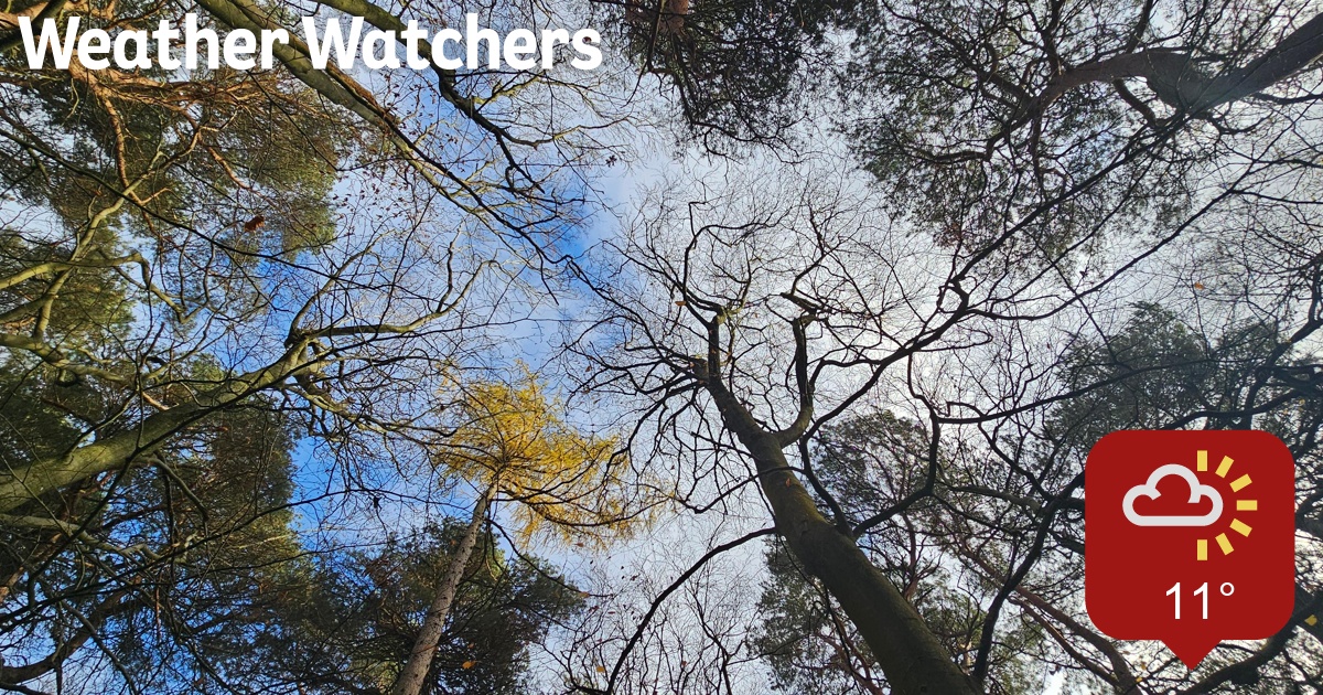 Report - BBC Weather Watchers