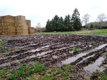 Slough - BBC Weather