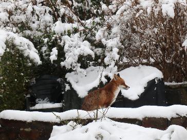 Rotherham - BBC Weather