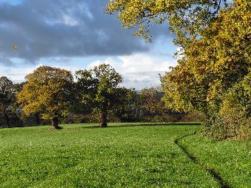 Rhuallt - BBC Weather