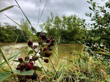 Worcester - BBC Weather