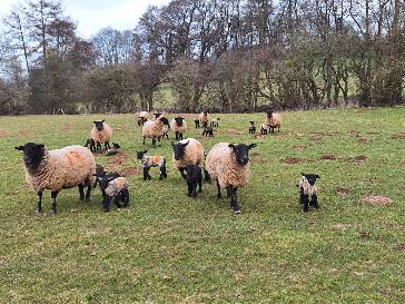 Evesham - BBC Weather