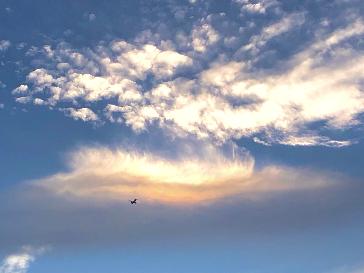 Sutton - BBC Weather