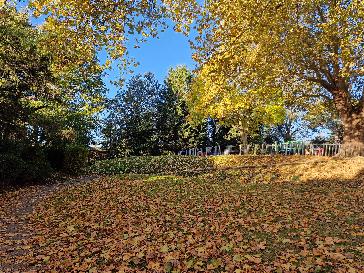 Gillingham - BBC Weather