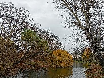 Bromley - BBC Weather