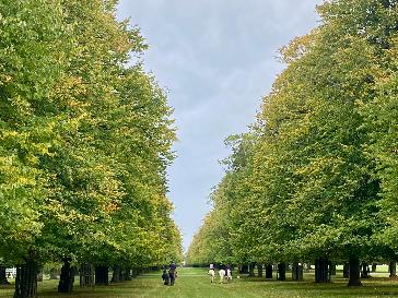 Wembley - BBC Weather