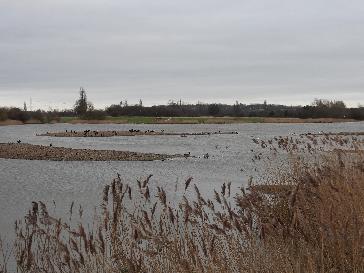 Retford - BBC Weather