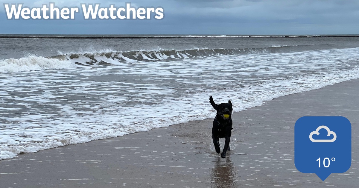 Report - BBC Weather Watchers
