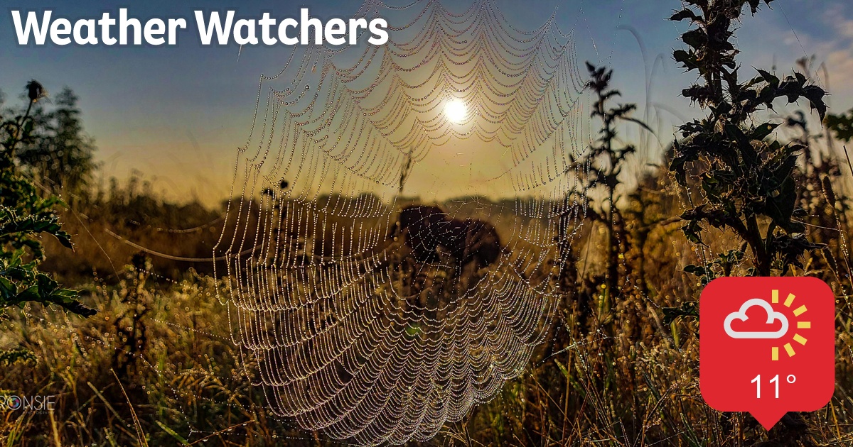 Report - BBC Weather Watchers