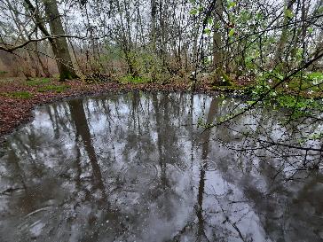 Gloucester - BBC Weather