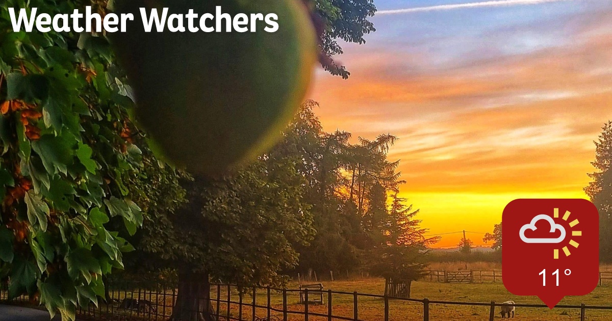 Report - BBC Weather Watchers