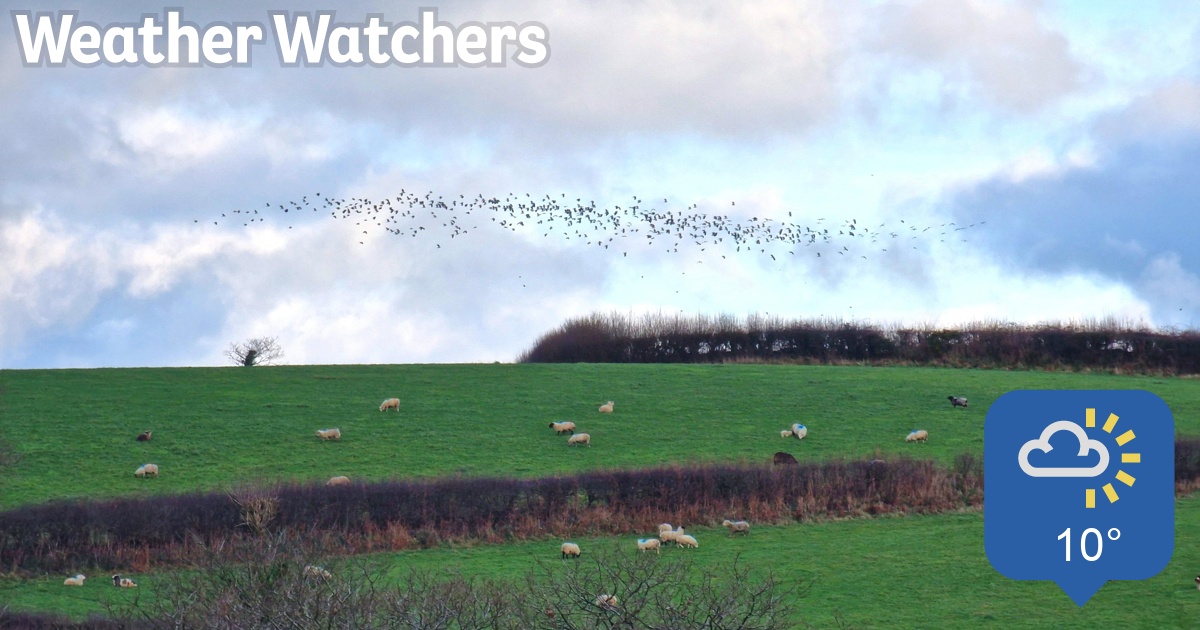 Report - BBC Weather Watchers