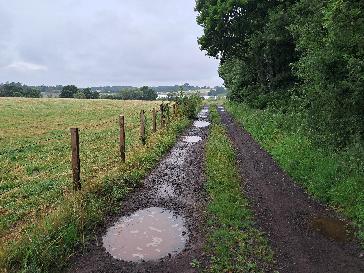 Longforgan - BBC Weather