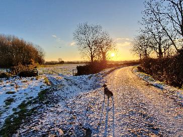 Retford - BBC Weather