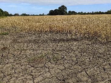 Harrogate - BBC Weather