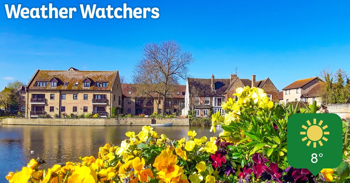 Report - BBC Weather Watchers