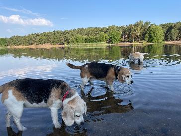 Andover - BBC Weather