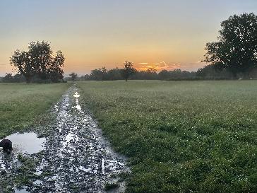 Swindon - BBC Weather