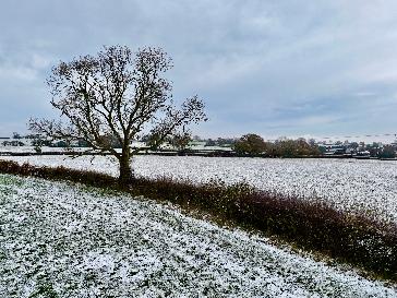 Sandbach - BBC Weather
