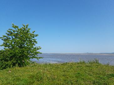 Denbigh - BBC Weather