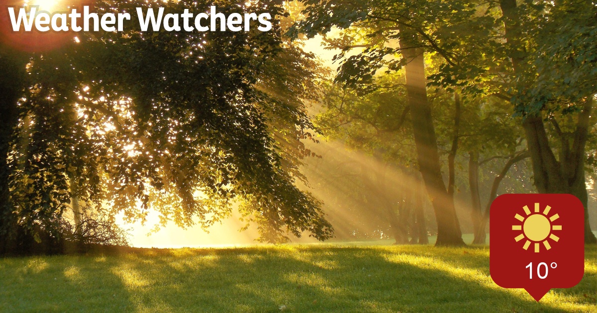 Report - BBC Weather Watchers