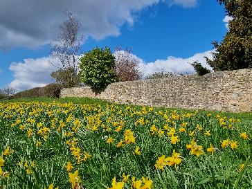 Sheffield - BBC Weather