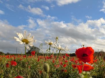 Haverhill - BBC Weather