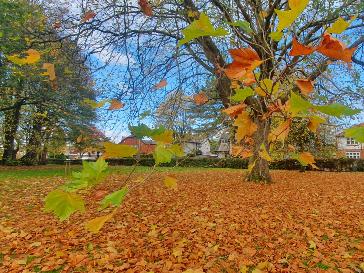 Denton - BBC Weather