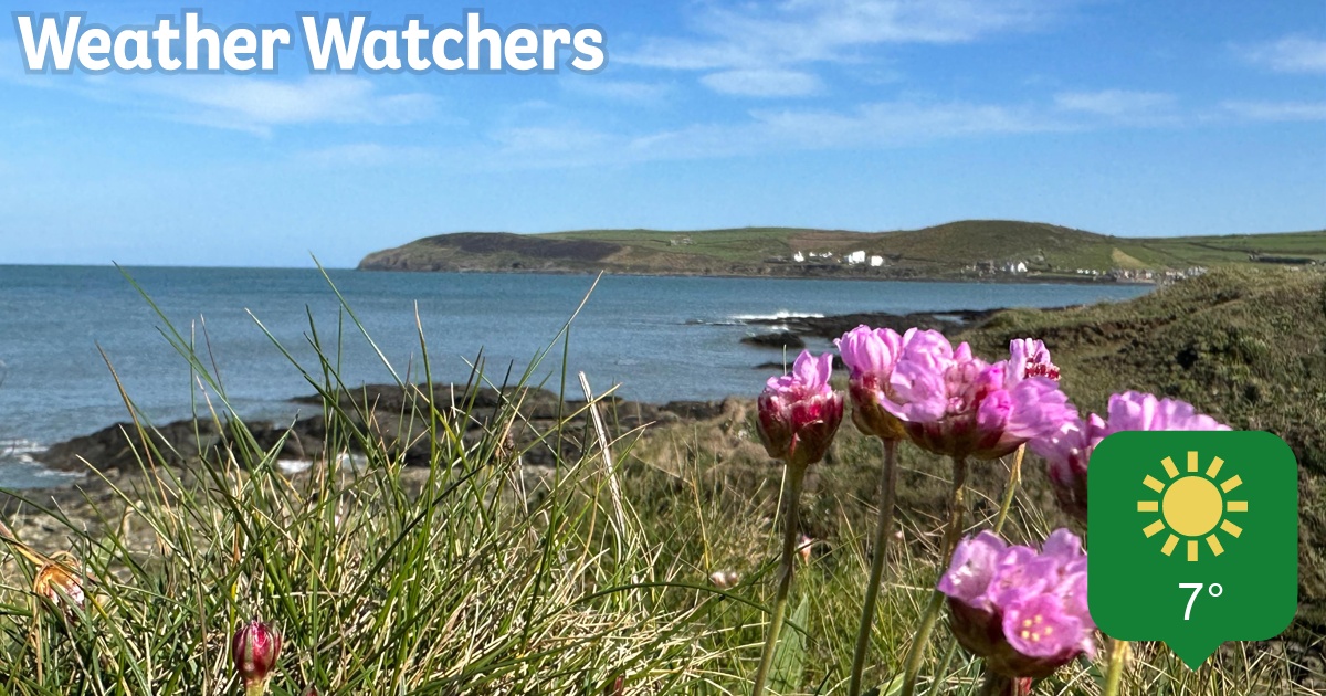Report - BBC Weather Watchers