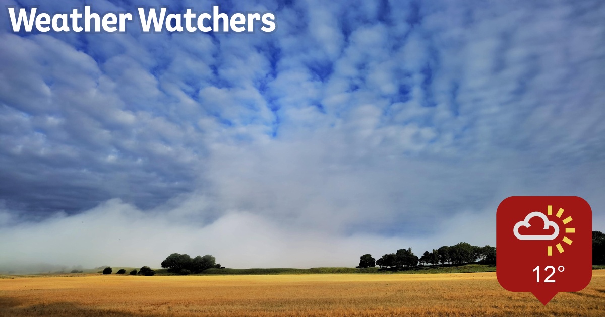 Report - BBC Weather Watchers