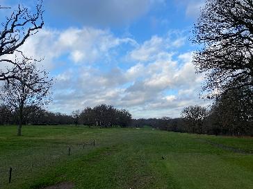 Wembley - BBC Weather