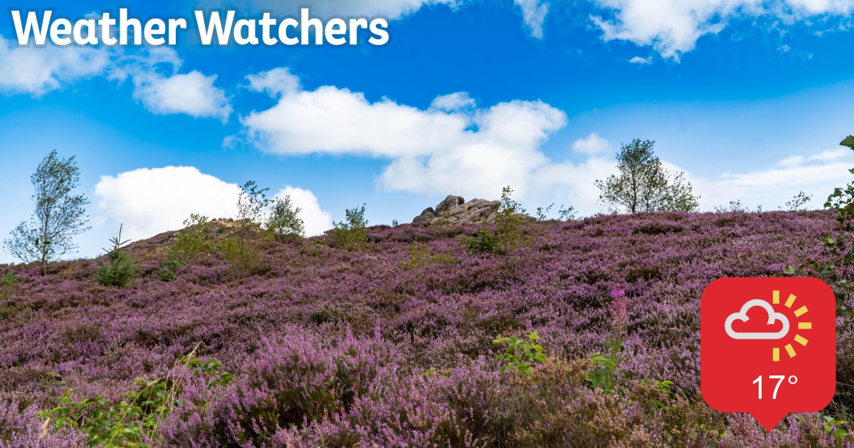 Report - BBC Weather Watchers